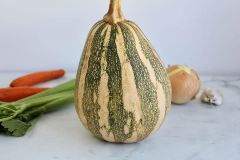 Velvety Fairy Squash Soup - True Forage